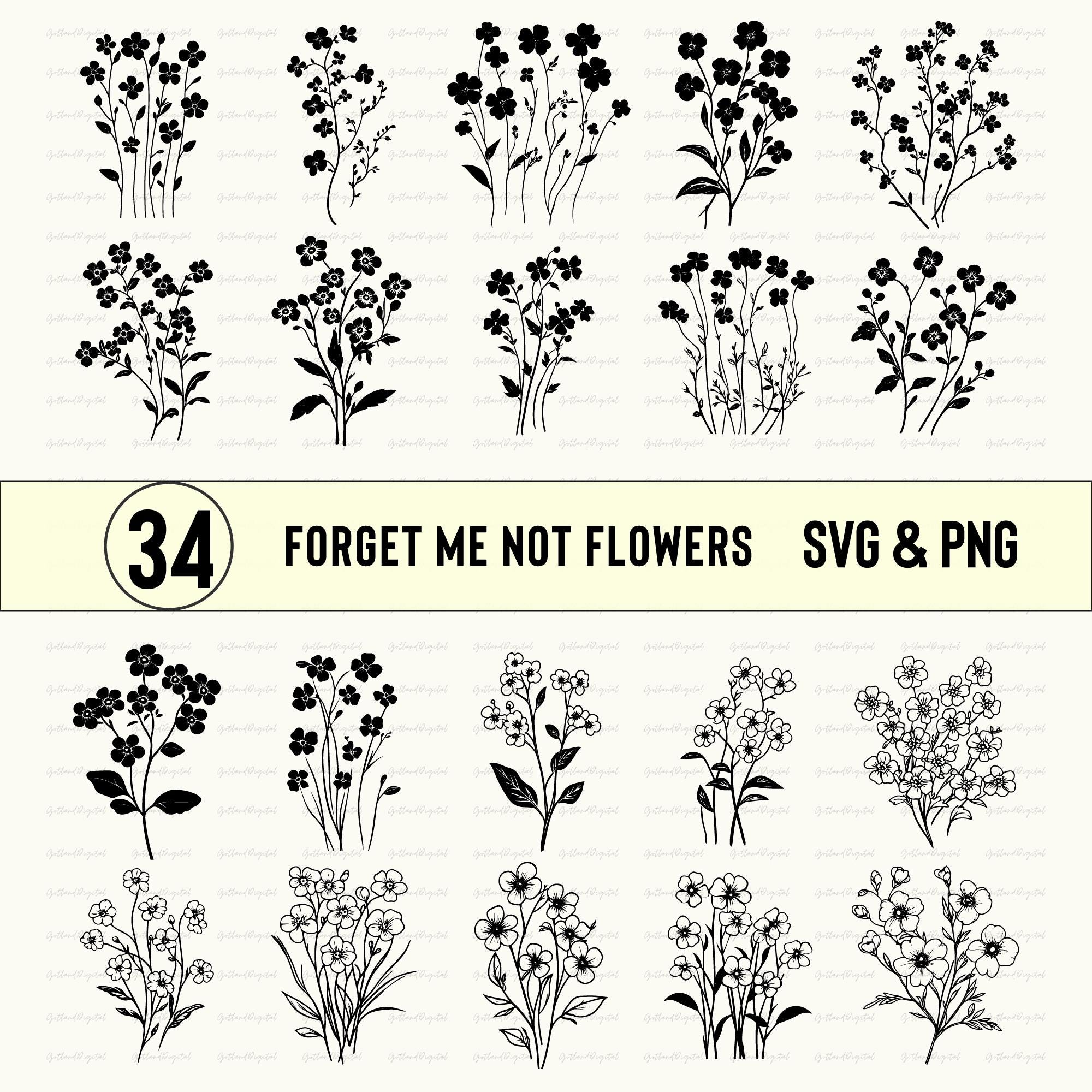 Forget Me Not Flowers SVG PNG Bundle: Floral Clipart, Silhouette ...