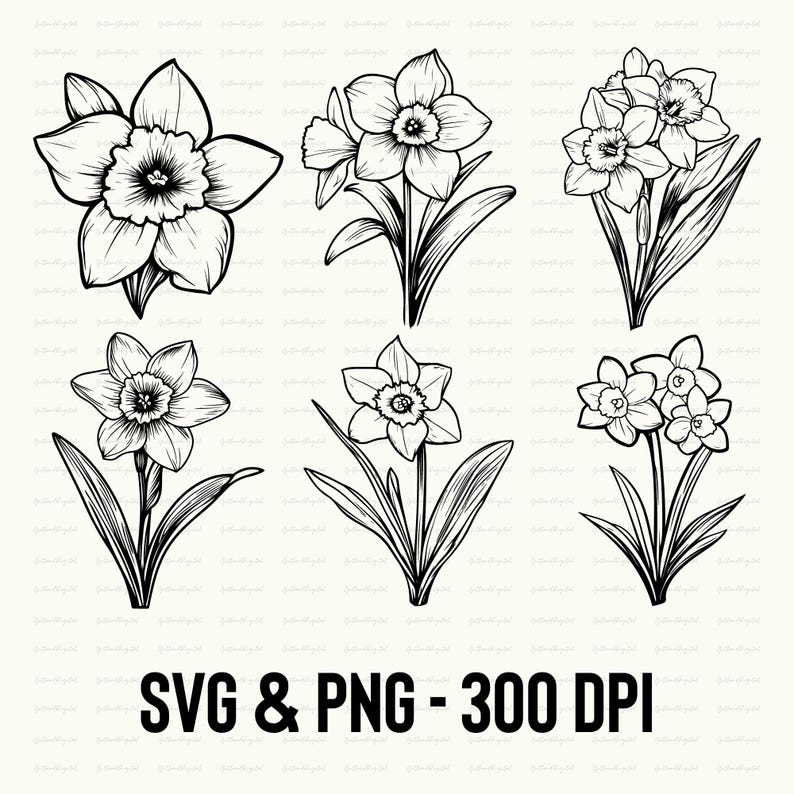 Narcissus Flowers Png Svg, Narcissus Flowers Clipart, Narcissus ...