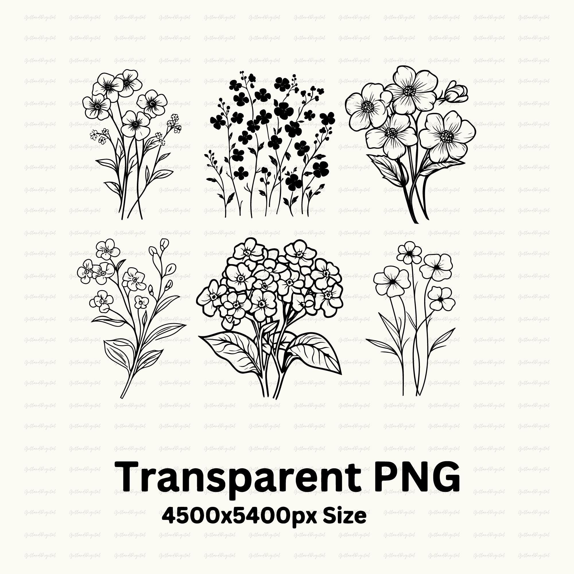 Forget Me Not Flowers SVG PNG Bundle: Floral Clipart, Silhouette ...