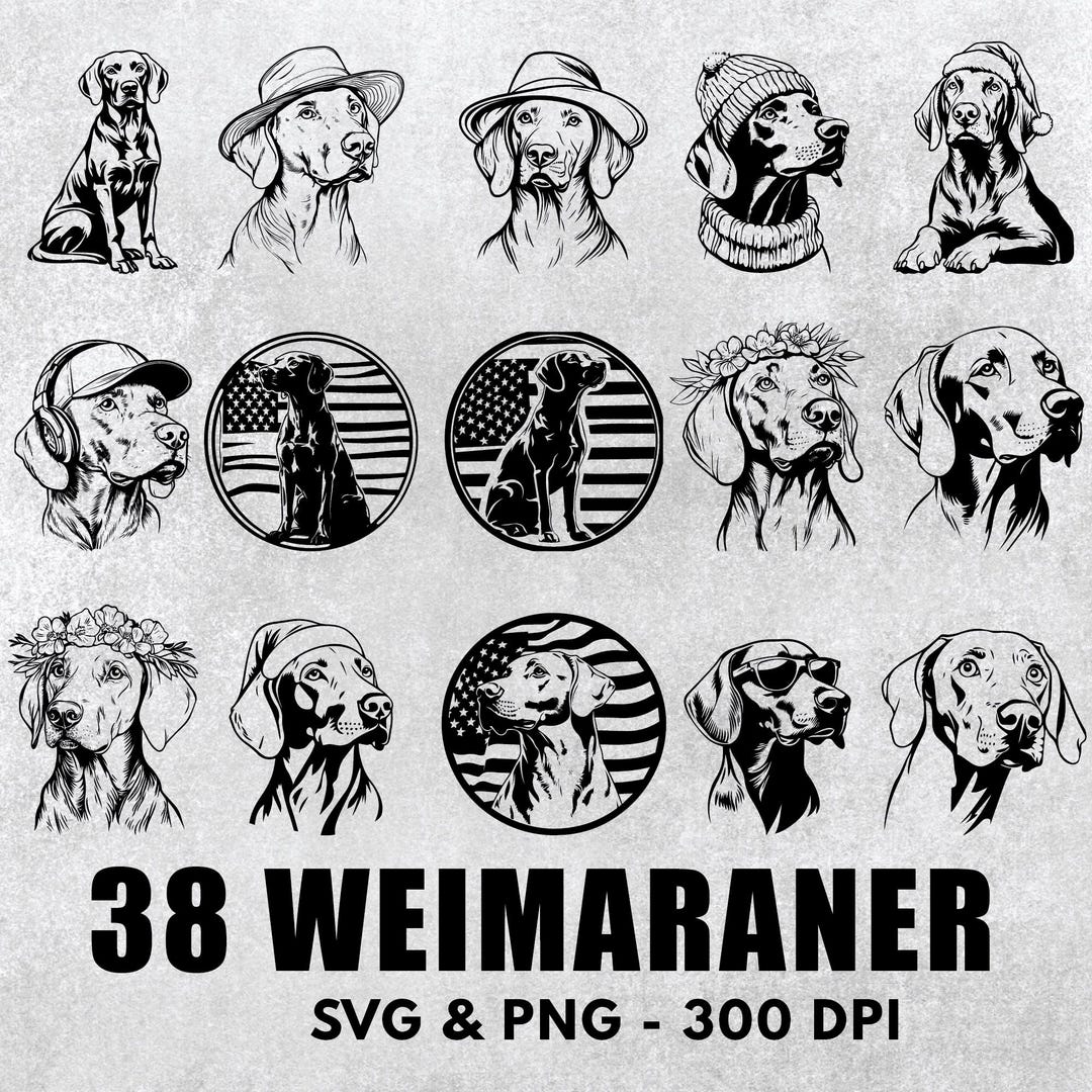 Weimaraner Dog Svg Bundle, Weimaraner Silhouette Png Set, Weimaraner ...