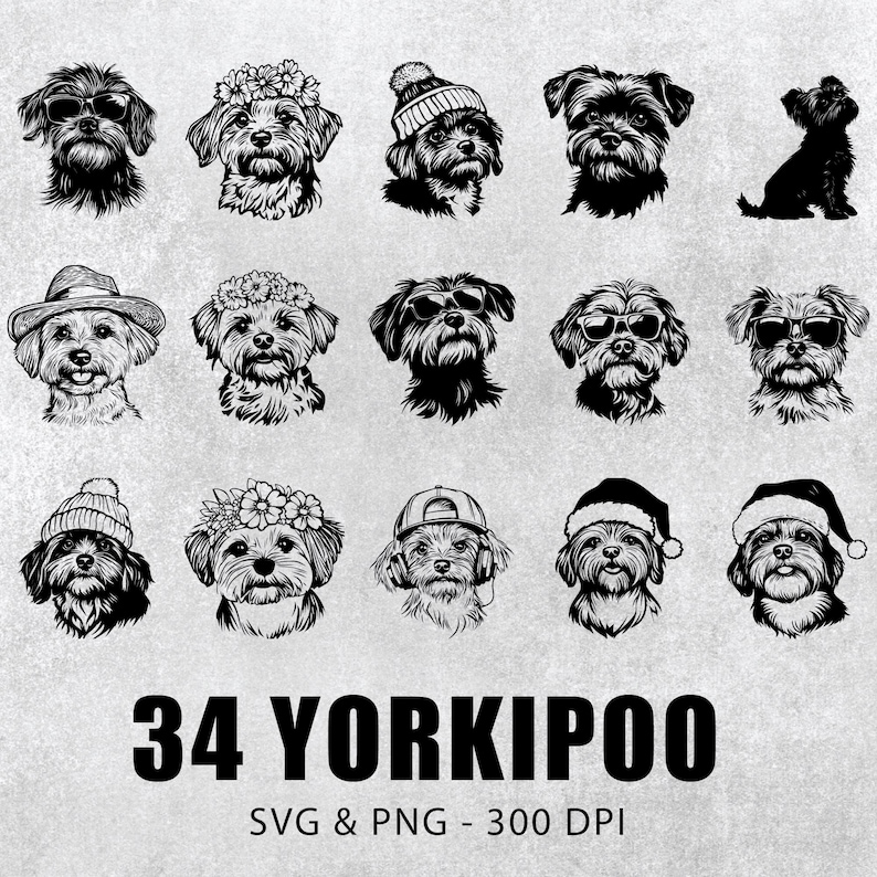 Yorkipoo SVG Bundle: Dog Clipart, Decal Designs (PNG, Cricut) - Etsy