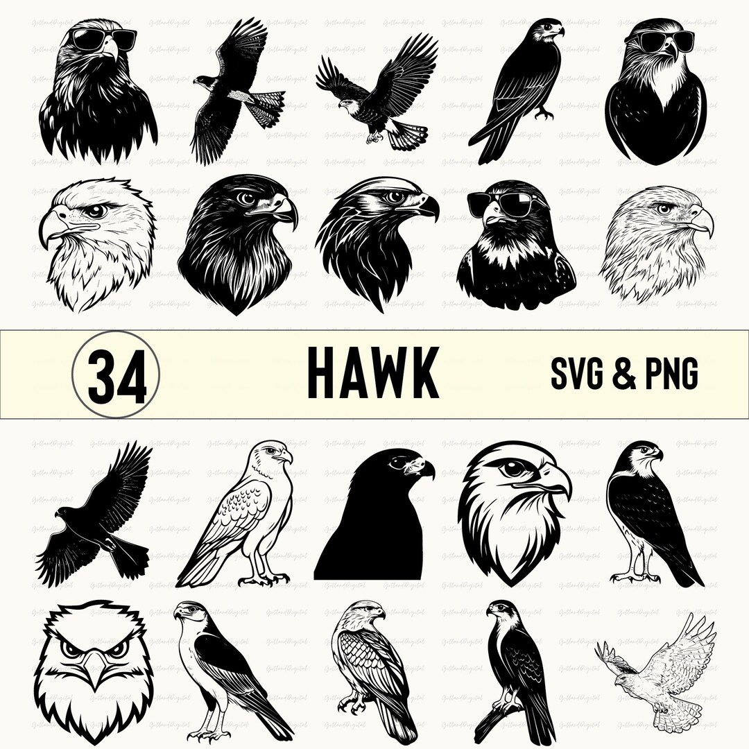 Hawk Svg Bundle, Hawk Silhouette, Hawk Clipart, Hawk Vector, Hawk Decal ...