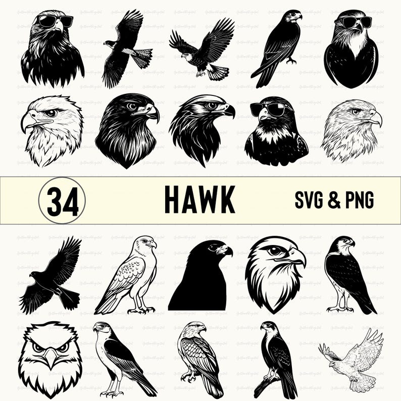 Hawk Svg Bundle, Hawk Silhouette, Hawk Clipart, Hawk Vector, Hawk Decal ...