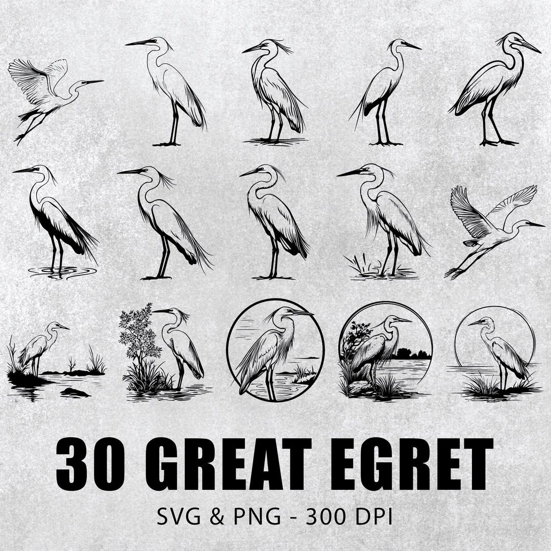 Great Egret Svg Bundle, Great Egret Silhouette Set, Great Egret Clipart ...
