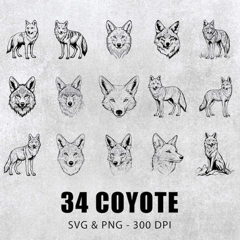 Coyote Svg Png, Coyote Clipart, Coyote Silhouette, Coyote Decal, Coyote ...