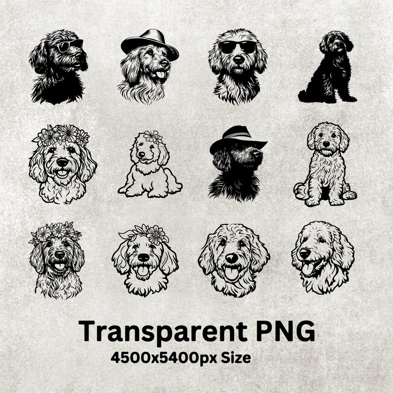 Goldendoodle Silhouette Bundle: Vector Clipart, Cricut Cut File (SVG ...