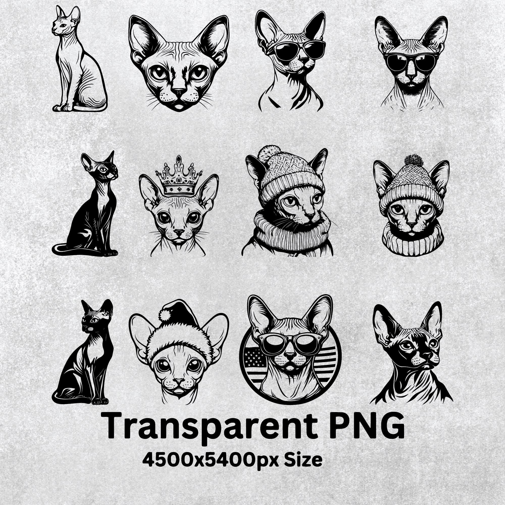 Sphynx Cat SVG PNG Bundle: Vector Clipart Silhouette (300 DPI) - Etsy