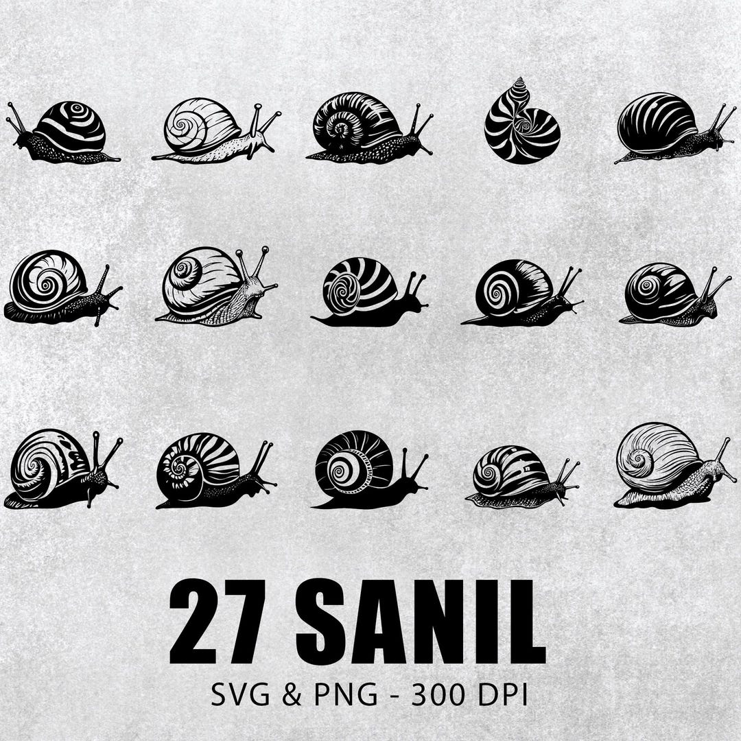 Snail SVG Bundle: Silhouette Clipart, Decal Designs (PNG, Cricut) - Etsy