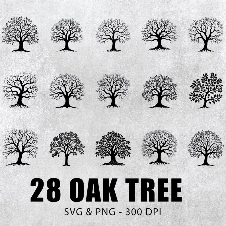 Oak Tree Silhouette SVG Bundle: Clipart, Decal, Logo (PNG, Cricut) - Etsy