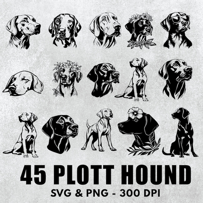 Plott Hound Svg Bundle, Plott Hound Silhouette, Plott Hound Clipart ...