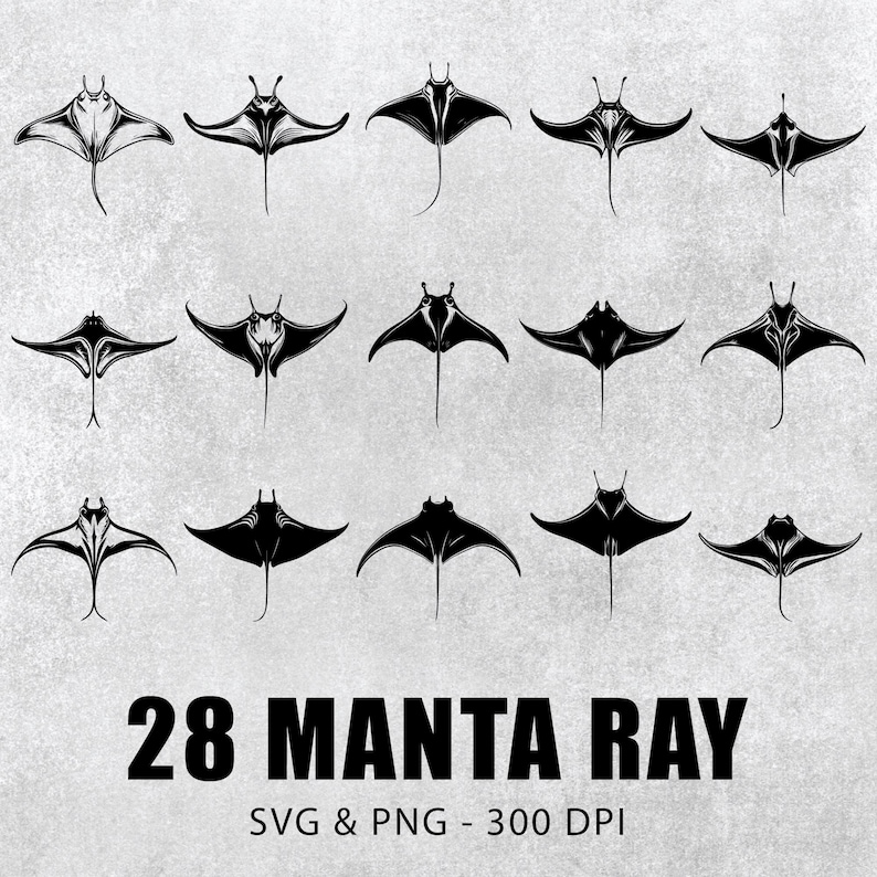 Manta Ray Svg Bundle, Manta Ray Vector Set, Manta Ray Clipart, Manta ...