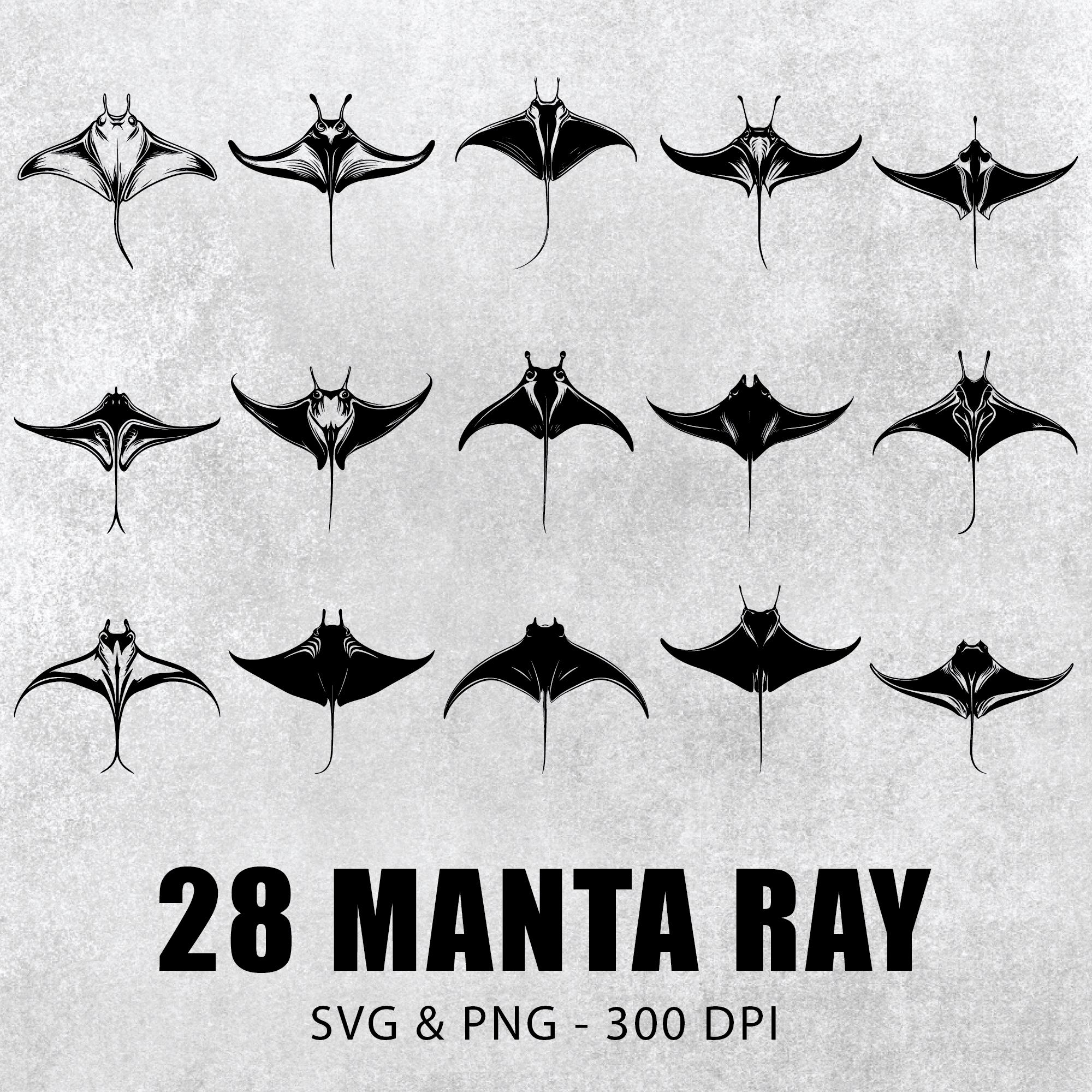 Manta Ray Svg Bundle, Manta Ray Vector Set, Manta Ray Clipart, Manta ...
