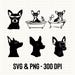 Miniature Pinscher Svg Bundle, Miniature Pinscher Silhouette, Miniature ...