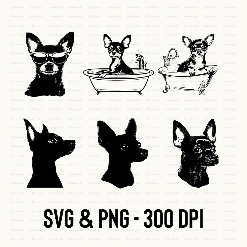 Miniature Pinscher Svg Bundle, Miniature Pinscher Silhouette, Miniature ...