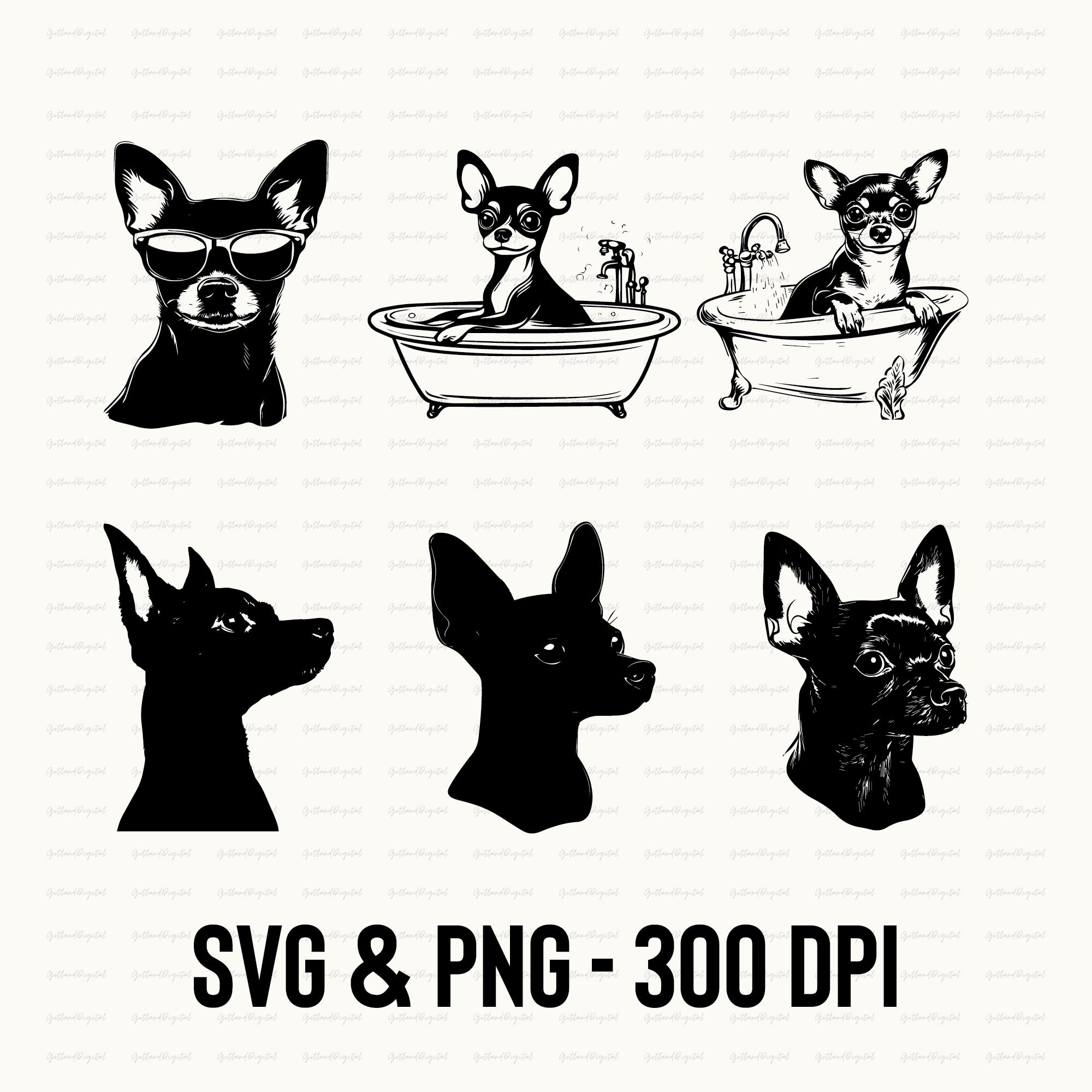 Miniature Pinscher Svg Bundle, Miniature Pinscher Silhouette, Miniature ...