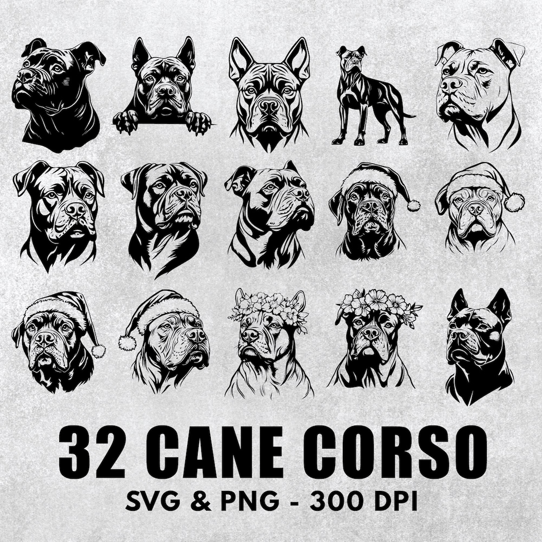 Cane Corso Svg Bundle, Cane Corso Vector Set, Cane Corso Clipart, Cane ...