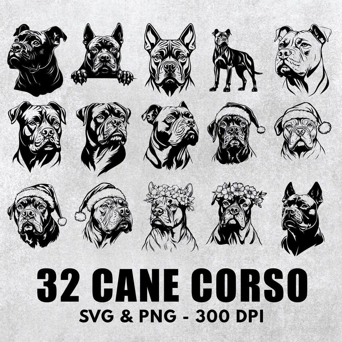 Cane Corso Svg Bundle, Cane Corso Vector Set, Cane Corso Clipart, Cane ...