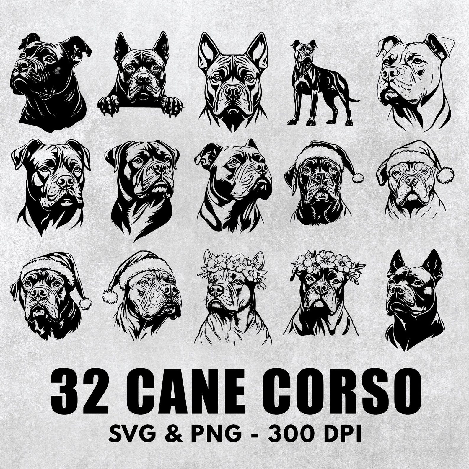 Cane Corso Svg Bundle, Cane Corso Vector Set, Cane Corso Clipart, Cane ...