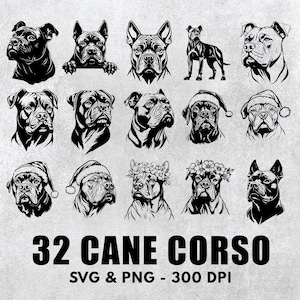 Cane Corso SVG Bundle: Dog Vector Clipart, Logo Icon (PNG) - Etsy