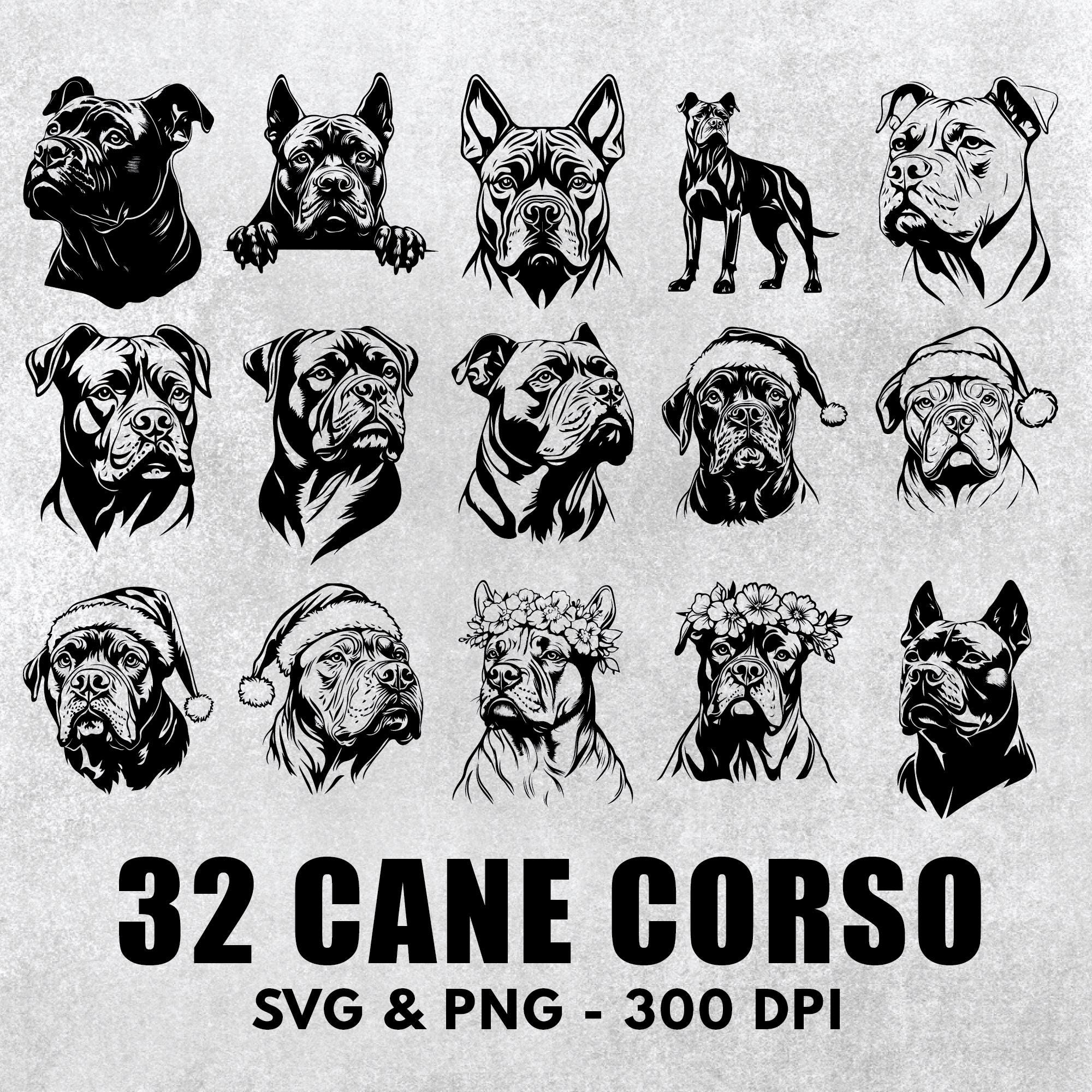 Cane Corso Svg Bundle, Cane Corso Vector Set, Cane Corso Clipart, Cane ...