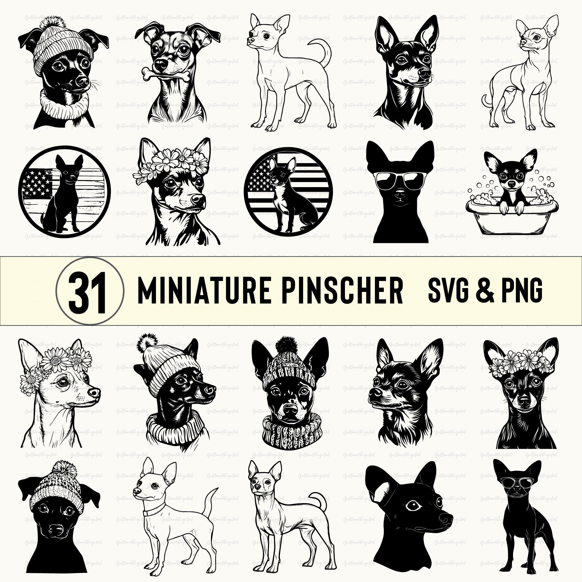 Miniature Pinscher Svg Bundle, Miniature Pinscher Silhouette, Miniature ...