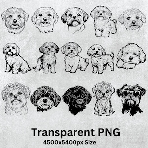 Shichon SVG Bundle: Dog Clipart, Silhouette Vector (PNG) - Etsy