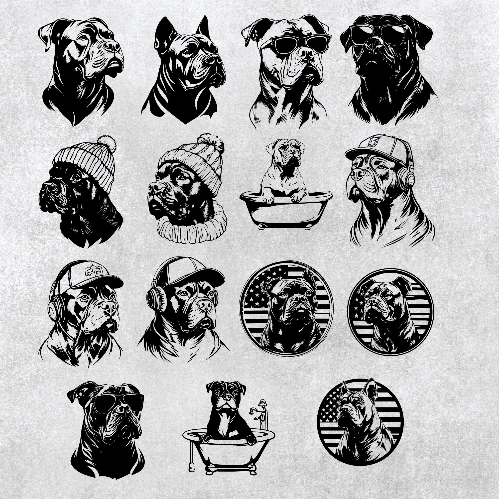 Cane Corso Svg Bundle, Cane Corso Vector Set, Cane Corso Clipart, Cane ...