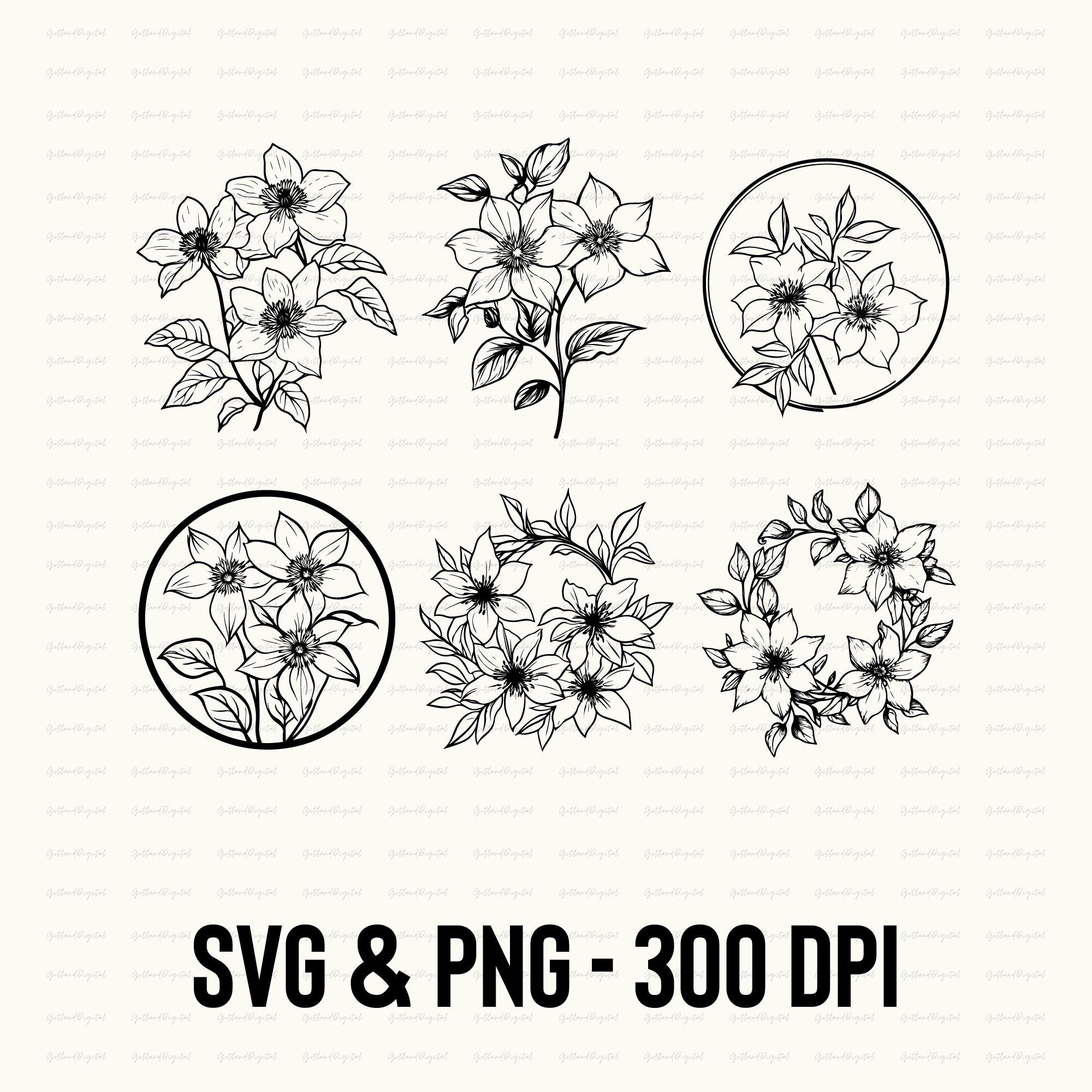 Clematis Svg Png, Clematis Silhouette, Clematis Clipart, Clematis ...