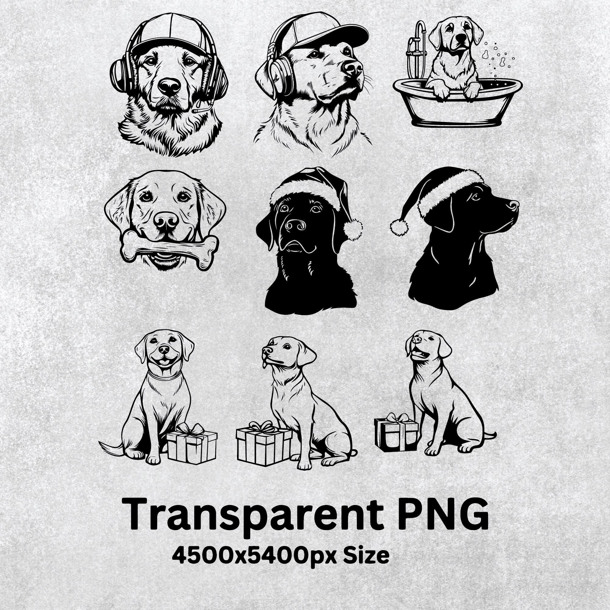 Labrador Retriever SVG Bundle: Dog Silhouette Clipart (PNG, Vector) - Etsy