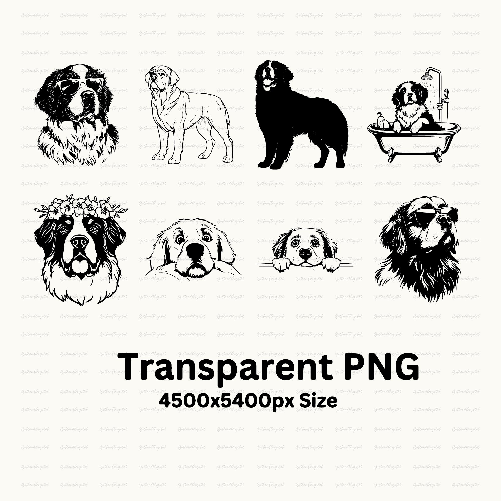 Saint Bernard Dog Svg Bundle, Saint Bernard Dog Silhouette, Saint ...