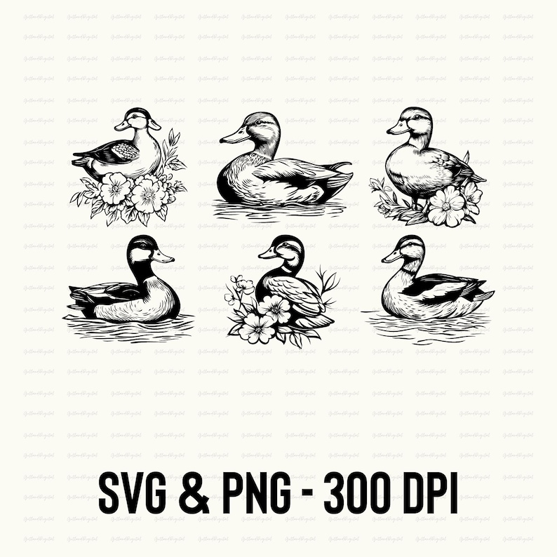 Mallard Duck SVG PNG Clipart: Vector Cut File Bundle - Etsy
