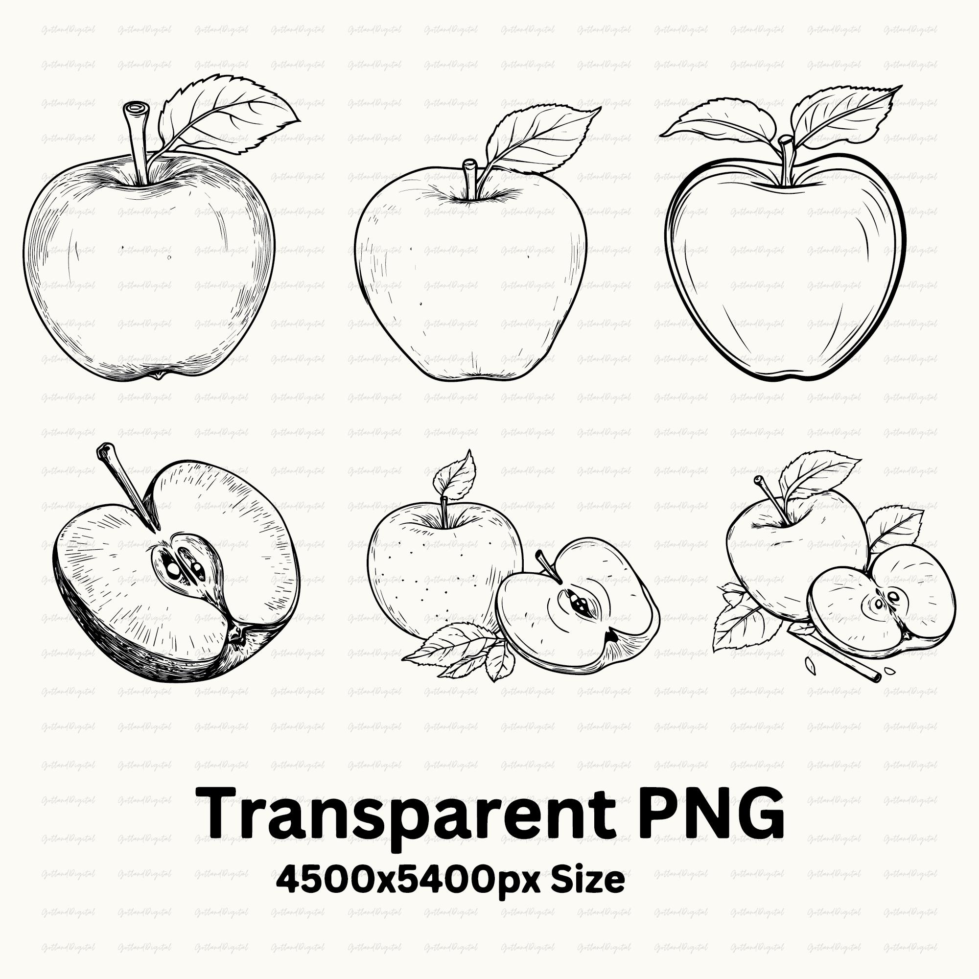 Apple Svg Bundle, Apple Silhouette, Apple Clipart, Apple Decal, Apple ...