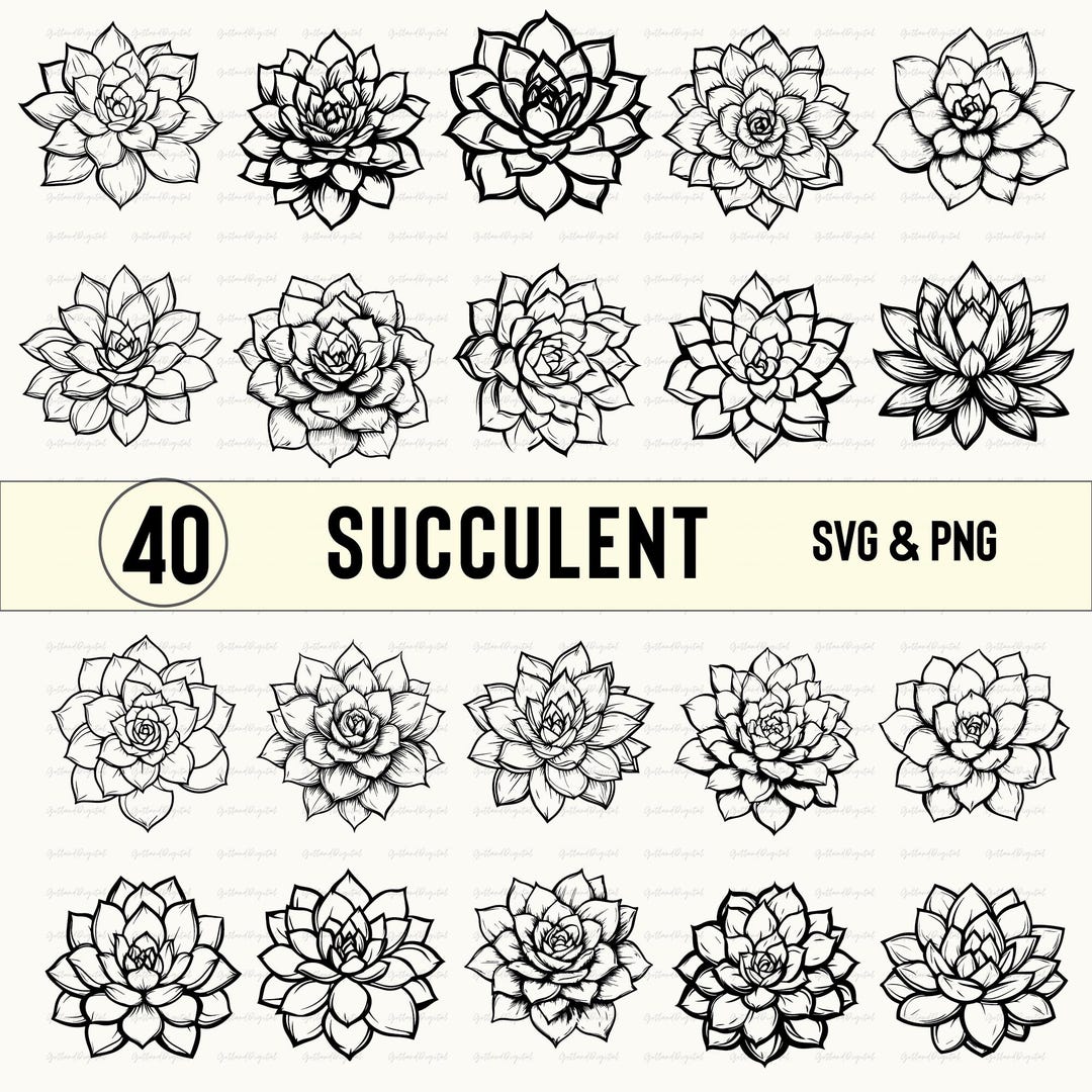 Succulent Svg Bundle, Succulent Silhouette, Succulent Clipart ...