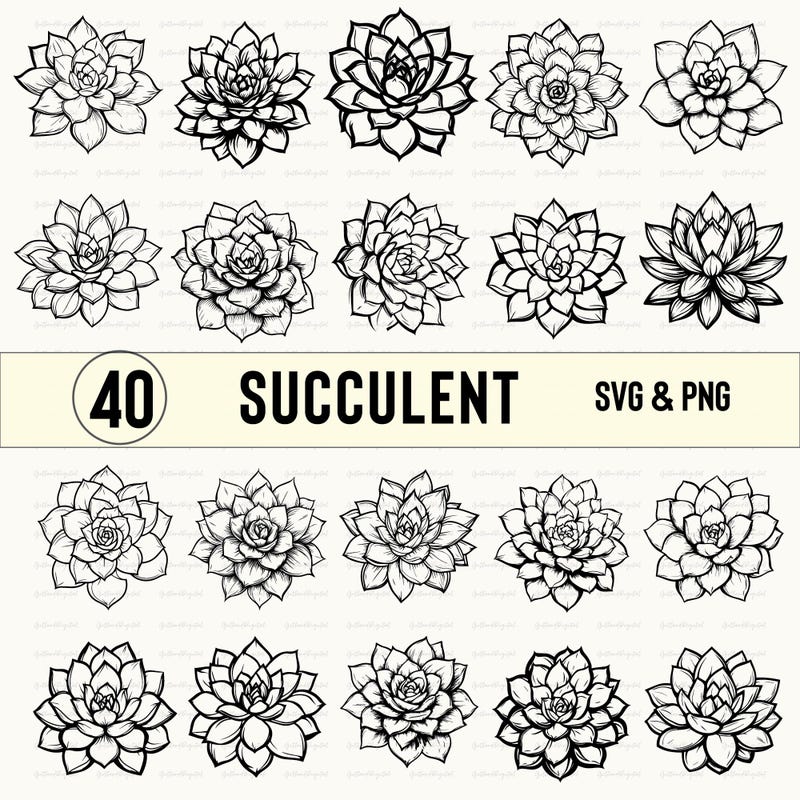 Succulent Svg - Etsy