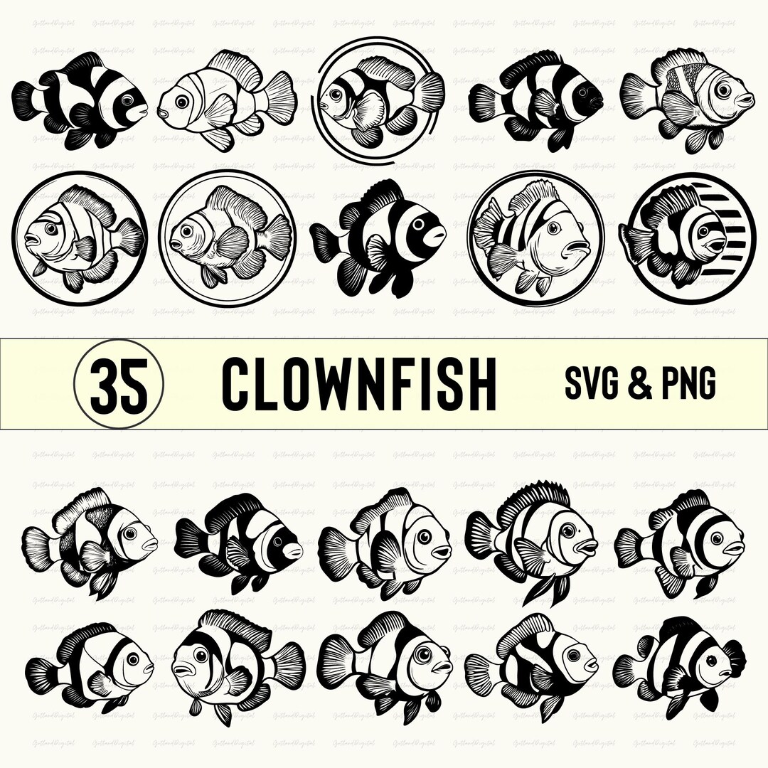 Clownfish SVG PNG Clipart: Fish Decal Designs (300 DPI) - Etsy