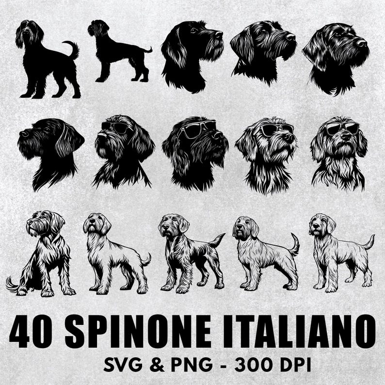 Spinone Italiano Svg Bundle, Spinone Italiano Silhouette, Spinone ...