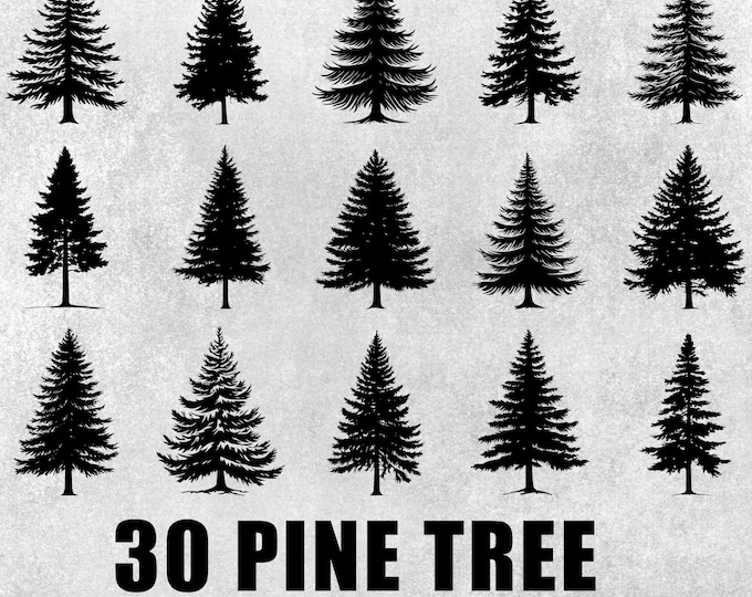 Pine Tree SVG. Pine Tree Png. Pine Tree Cut File. Pine Tree Clipart ...