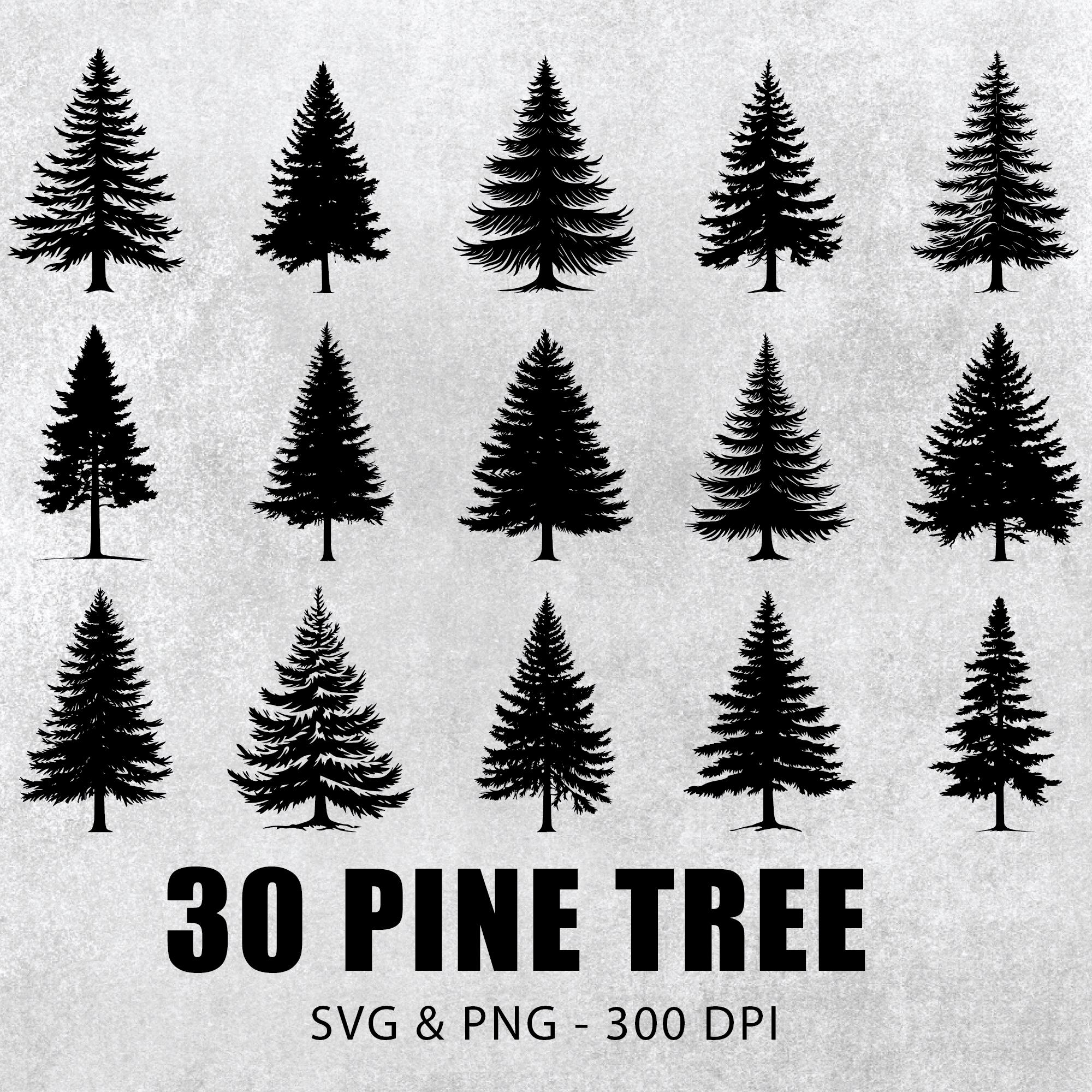 Pine Tree Svg Bundle, Pine Tree Vector Set, Pine Tree Clipart, Pine ...