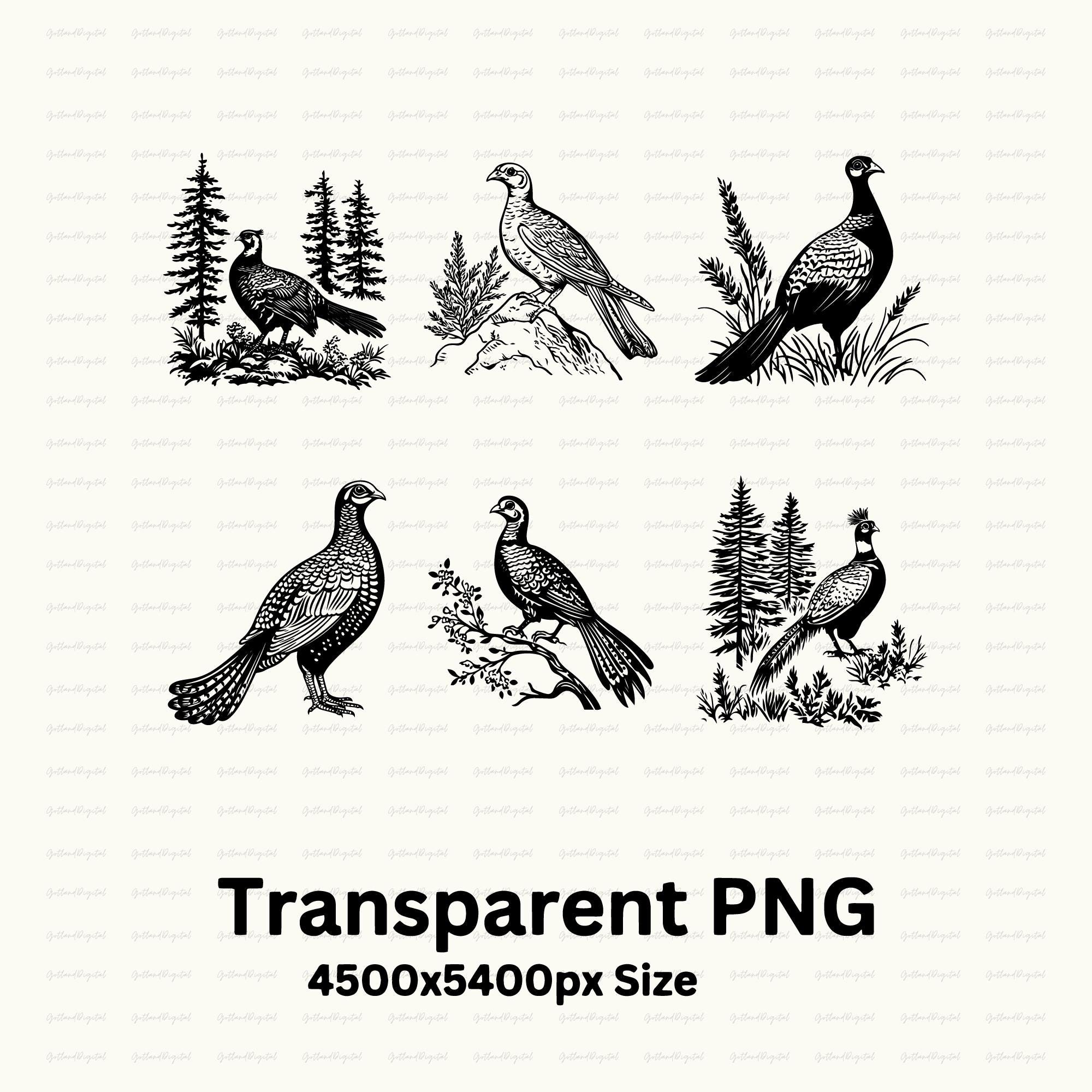 Pheasant Svg Png, Pheasant Clipart, Pheasant Silhouette, Pheasant ...