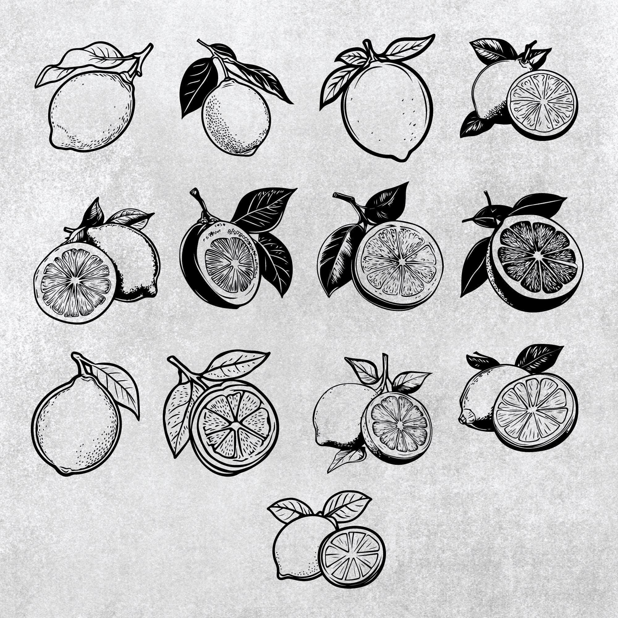 Lemon Svg Bundle, Lemon Svg Vector Set, Lemon Clipart, Lemon Decal ...