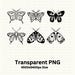 Moth SVG PNG Clipart: Silhouette Vector Cut Files - Etsy