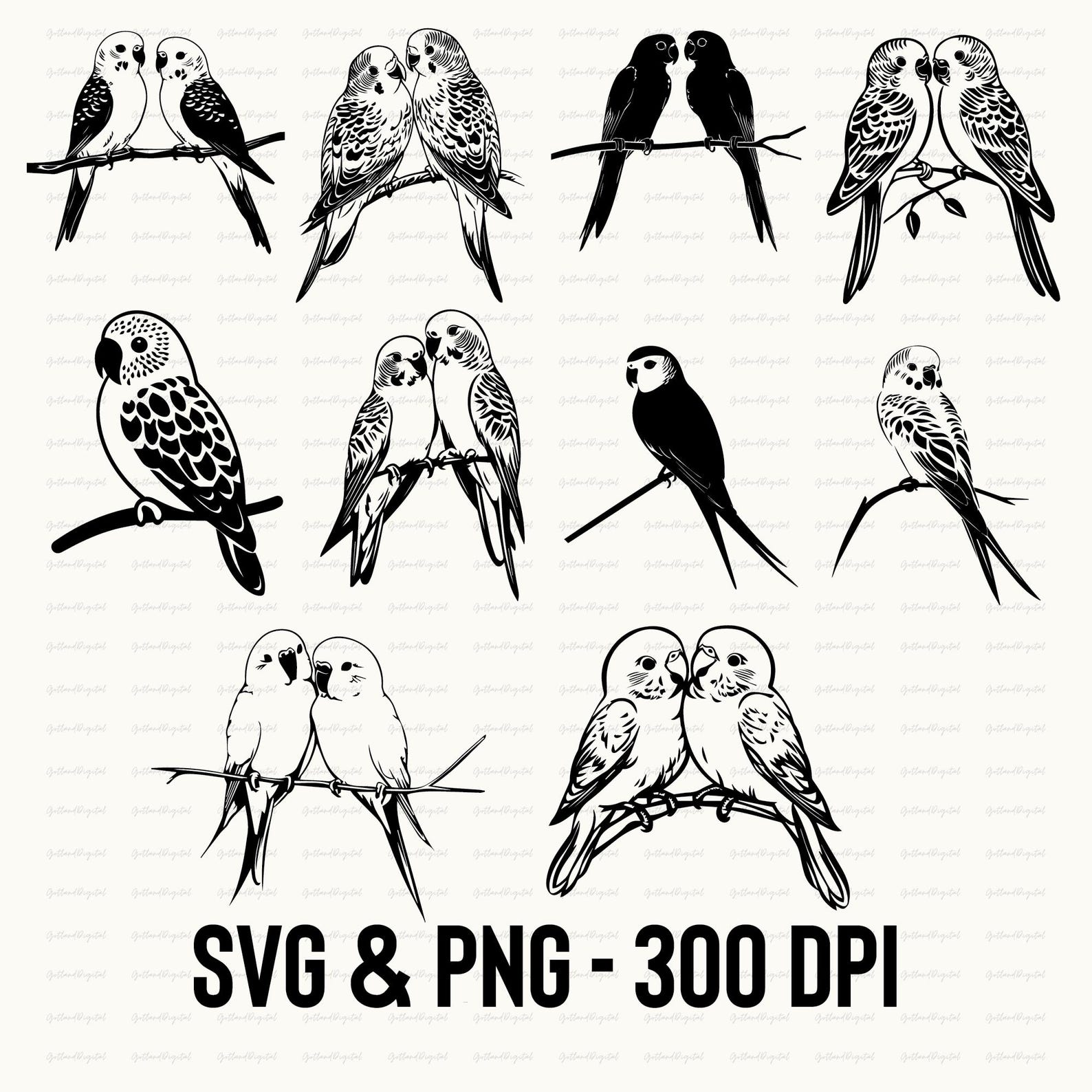 Budgie Bird Svg Bundle, Budgie Bird Silhouette, Budgie Bird Clipart ...