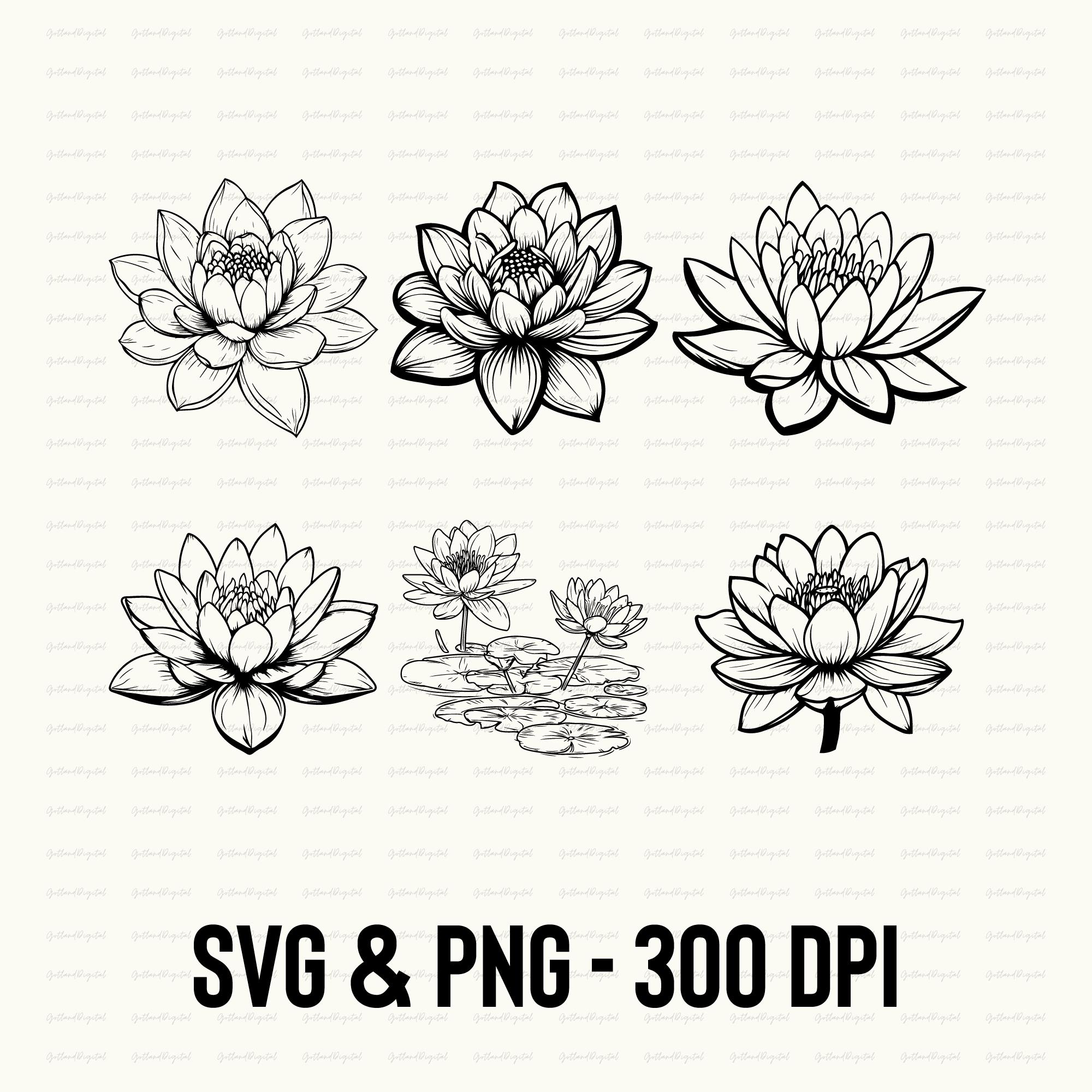 Water Lily Clipart: Floral SVG PNG Vector Cut Files - Etsy