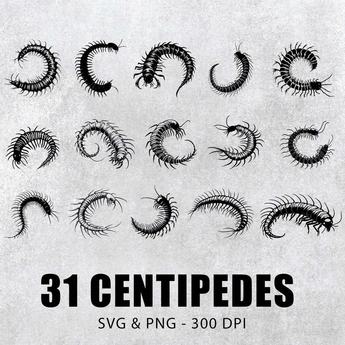 Centipedes Svg Png Bundle, Centipedes Clipart, Centipedes Silhouette ...
