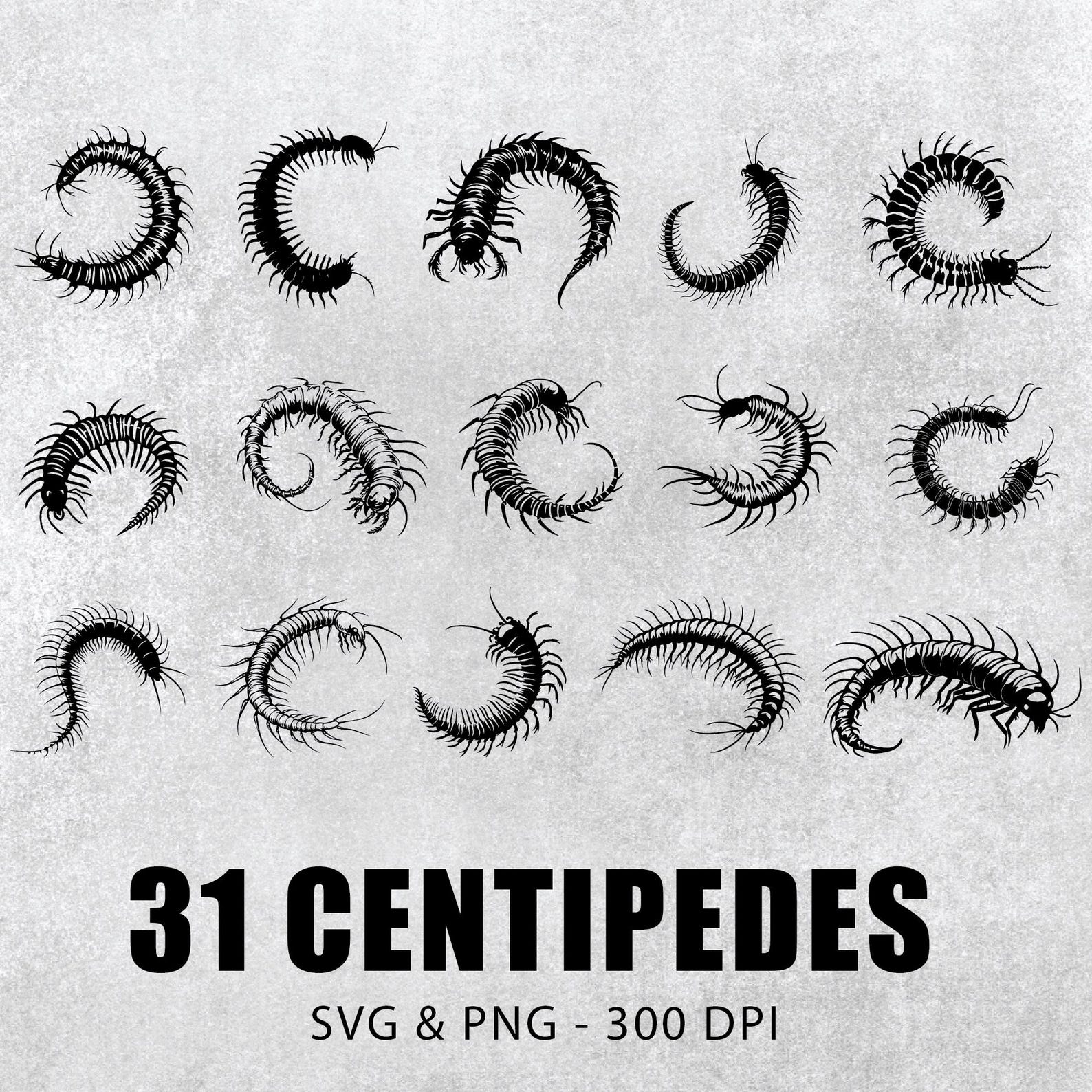 Centipedes Svg Png Bundle, Centipedes Clipart, Centipedes Silhouette ...