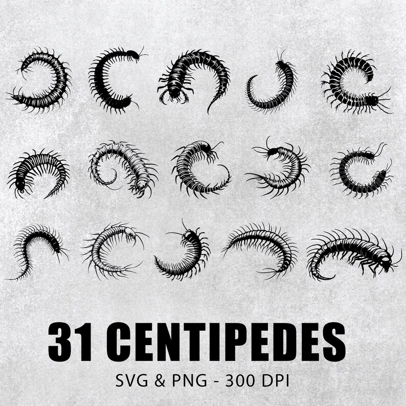 Centipedes Svg Png Bundle, Centipedes Clipart, Centipedes Silhouette ...