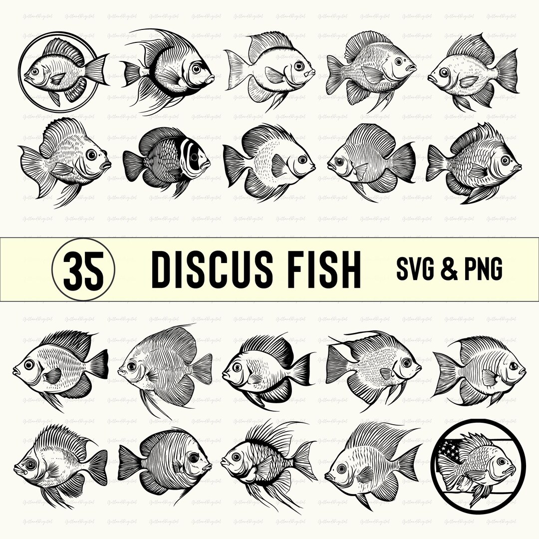 Discus Fish Svg Png, Discus Fish Clipart, Discus Fish Silhouette ...