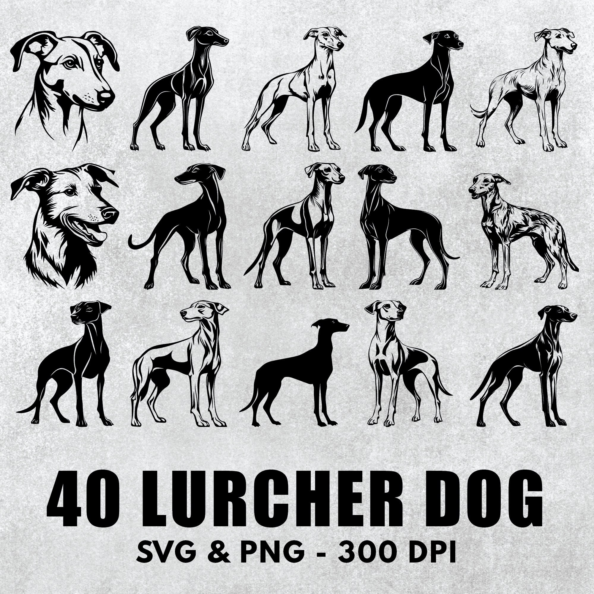 Lurcher Silhouette Bundle: Vector Clipart, Decal Icon (SVG & PNG) - Etsy