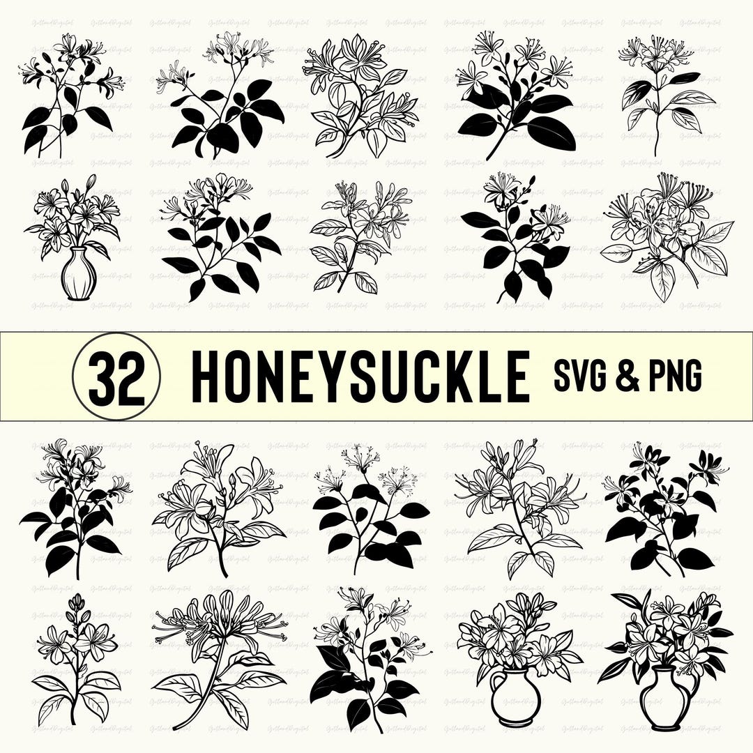 Honeysuckle Svg Png, Honeysuckle Silhouette, Honeysuckle Clipart ...