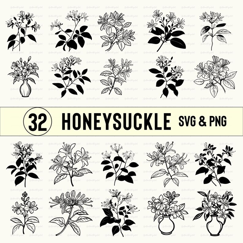 Honeysuckle Svg Png, Honeysuckle Silhouette, Honeysuckle Clipart ...